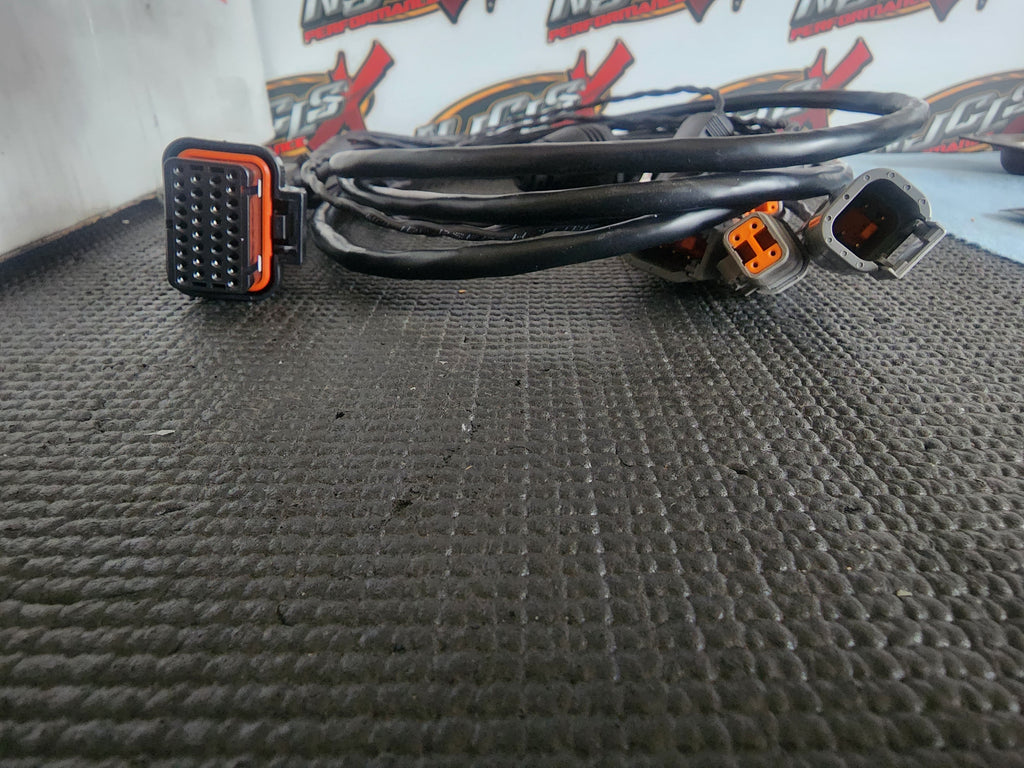 MOTEC 62204 - C125 C127 C1212 RACE LOOM TERMINATED – NJCLSX